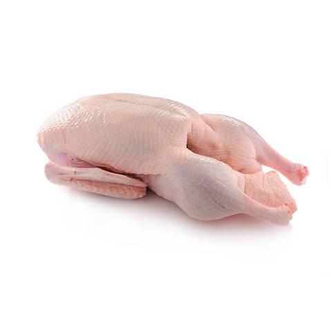 Valley Forge Duck Frozen 5.5 HLFL|NTFOODS